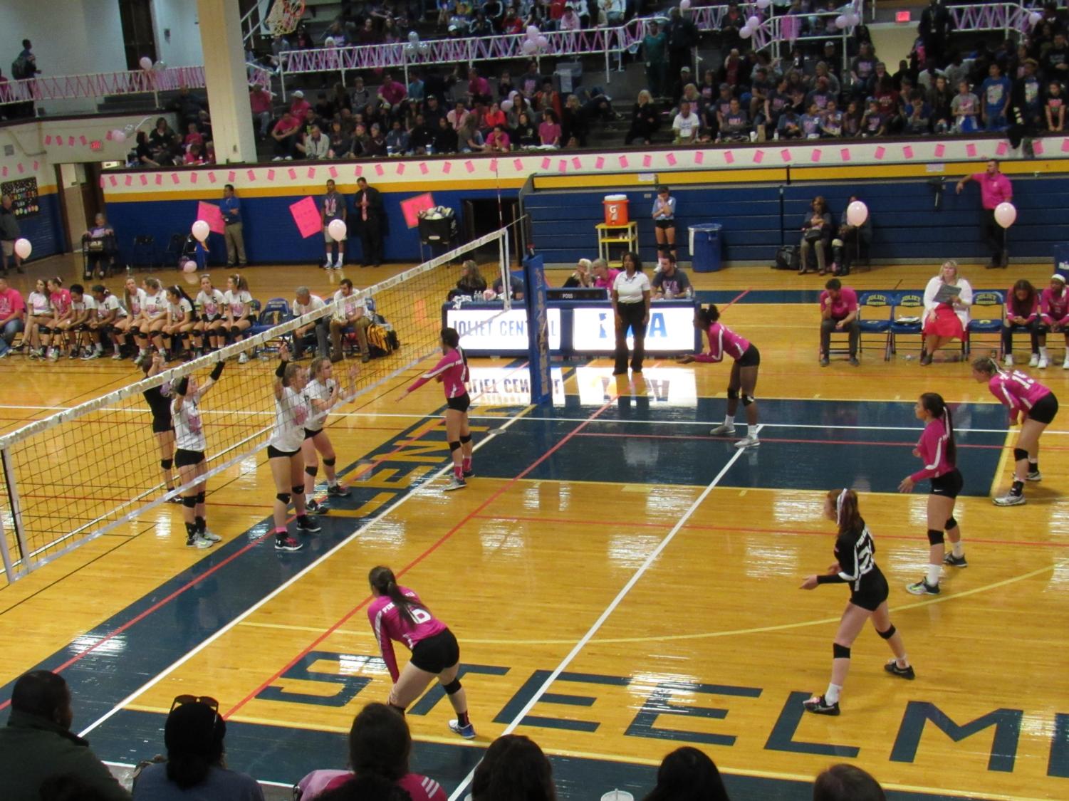 Pink Heals – JTC Journal